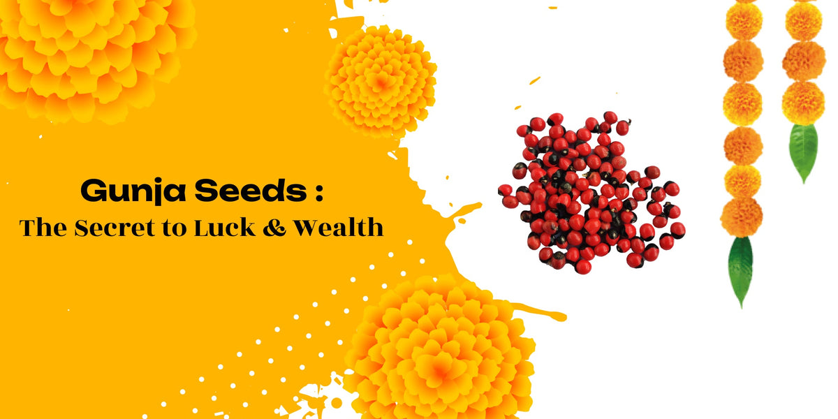 Gunja Seeds – Uses, Benefits & Spiritual Significance — Parthpooja