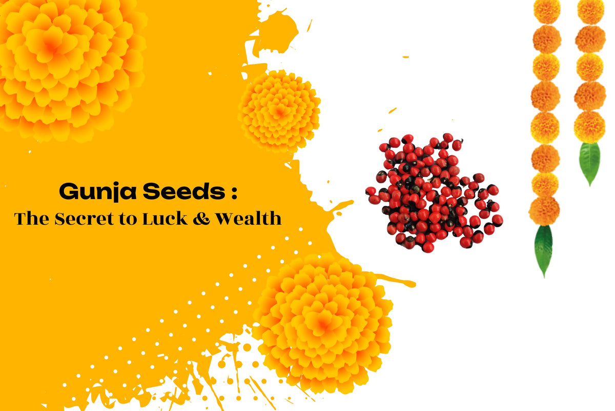 Gunja Seeds – Uses, Benefits & Spiritual Significance — Parthpooja