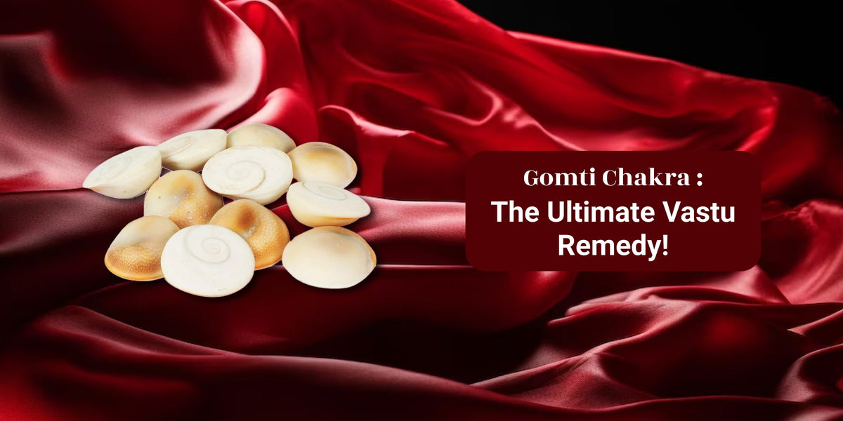 Gomti Chakra Benefits, Uses & Vastu Remedies – Power of Sacred Stones ...