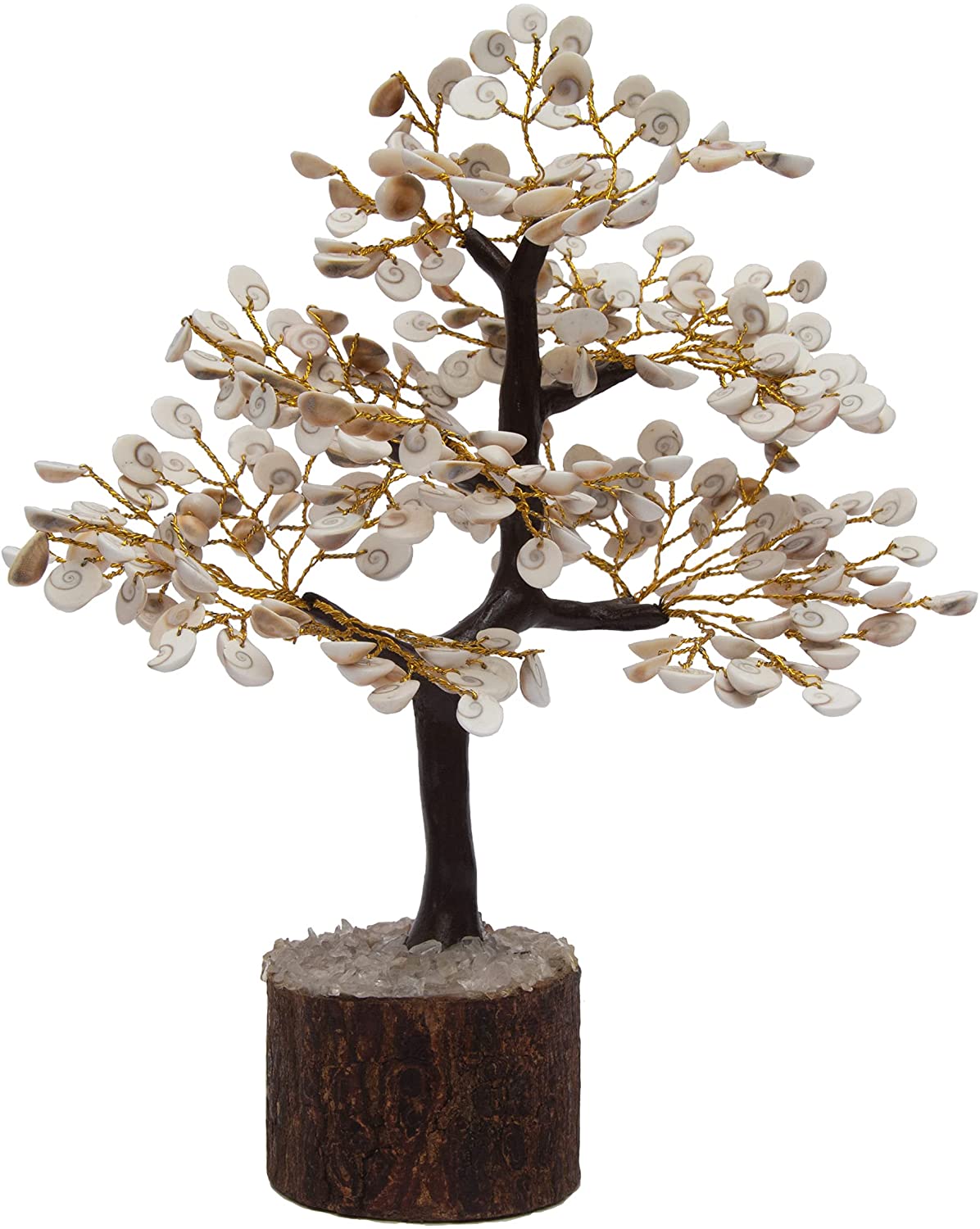 Natural and Original Gomti Chakra Tree — Parthpooja